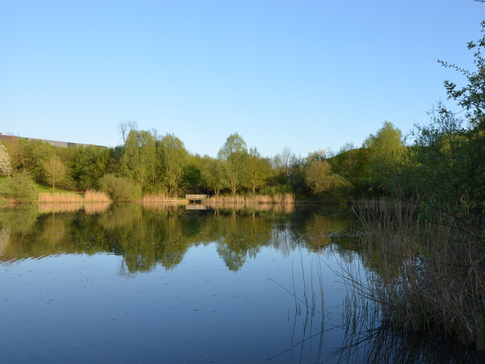 Etang du Segrais Sud - AAPPMA "Le Pêcheur de marne la Vallée"