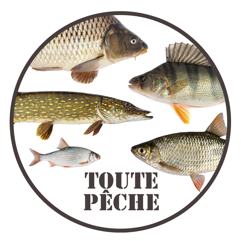 BEP n°8 - AAPPMA "Le Pêcheur de marne la Vallée"